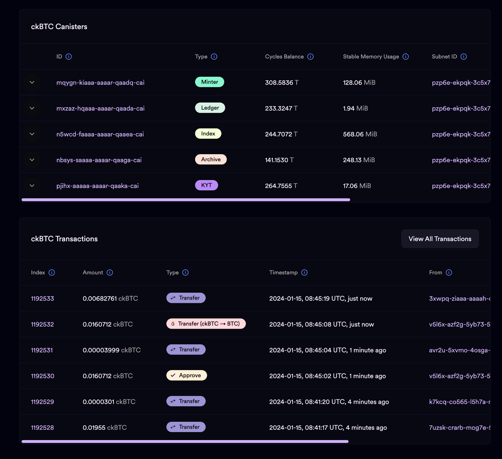 How to interpret the ckBTC dashboard – DFINITY